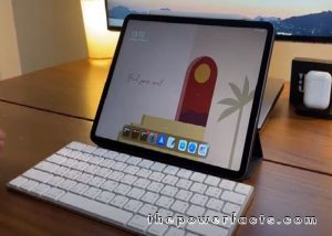 How Long Does the Magic Keyboard Battery Last? (How Do I Check) - The ...