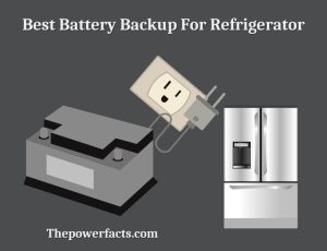Best Battery Backup For Refrigerators - No More Food Wastage - The ...