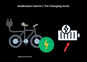 Troubleshooting the RadRunner Battery Not Charging Issue: A Complete ...