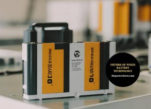 Who Makes Weize Battery? - The Power Facts