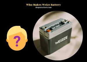 Who Makes Weize Battery? - The Power Facts